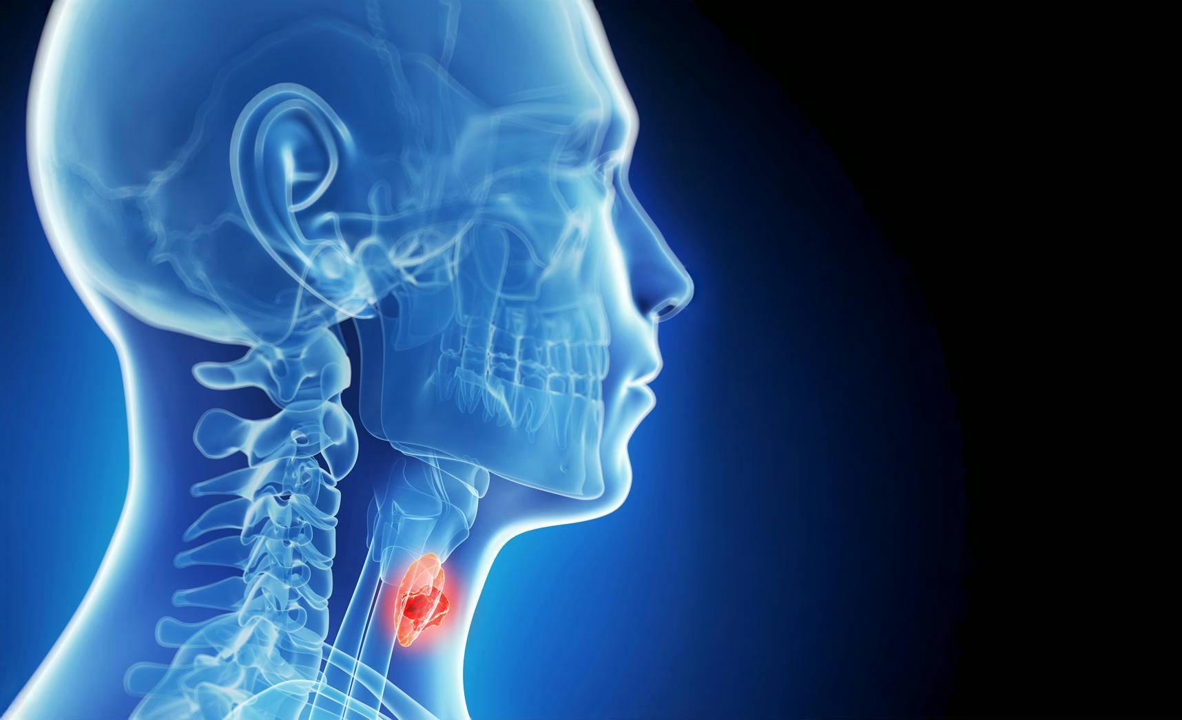 Bucklew v. Precythe Timeline